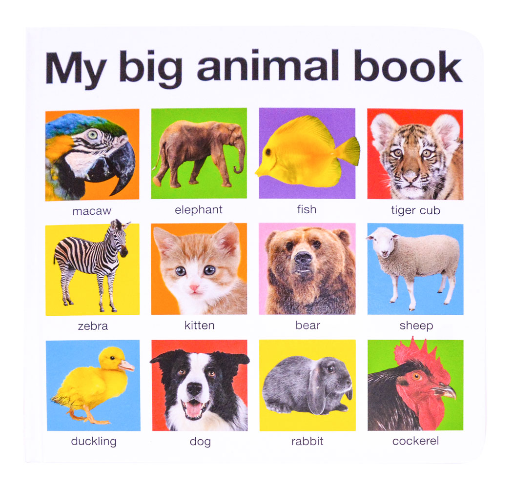 Little Thinkers Books - Distributor Dropship Buku Import Anak Jakarta ...